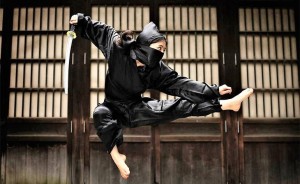 Books: The Ninja Myth – All the Anime